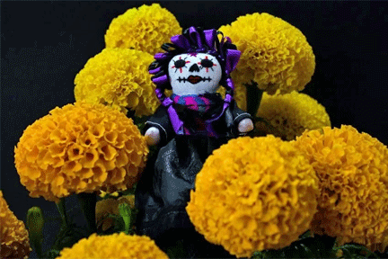 What’s the story behind Mexico’s Cempasúchil flower of the dead ...